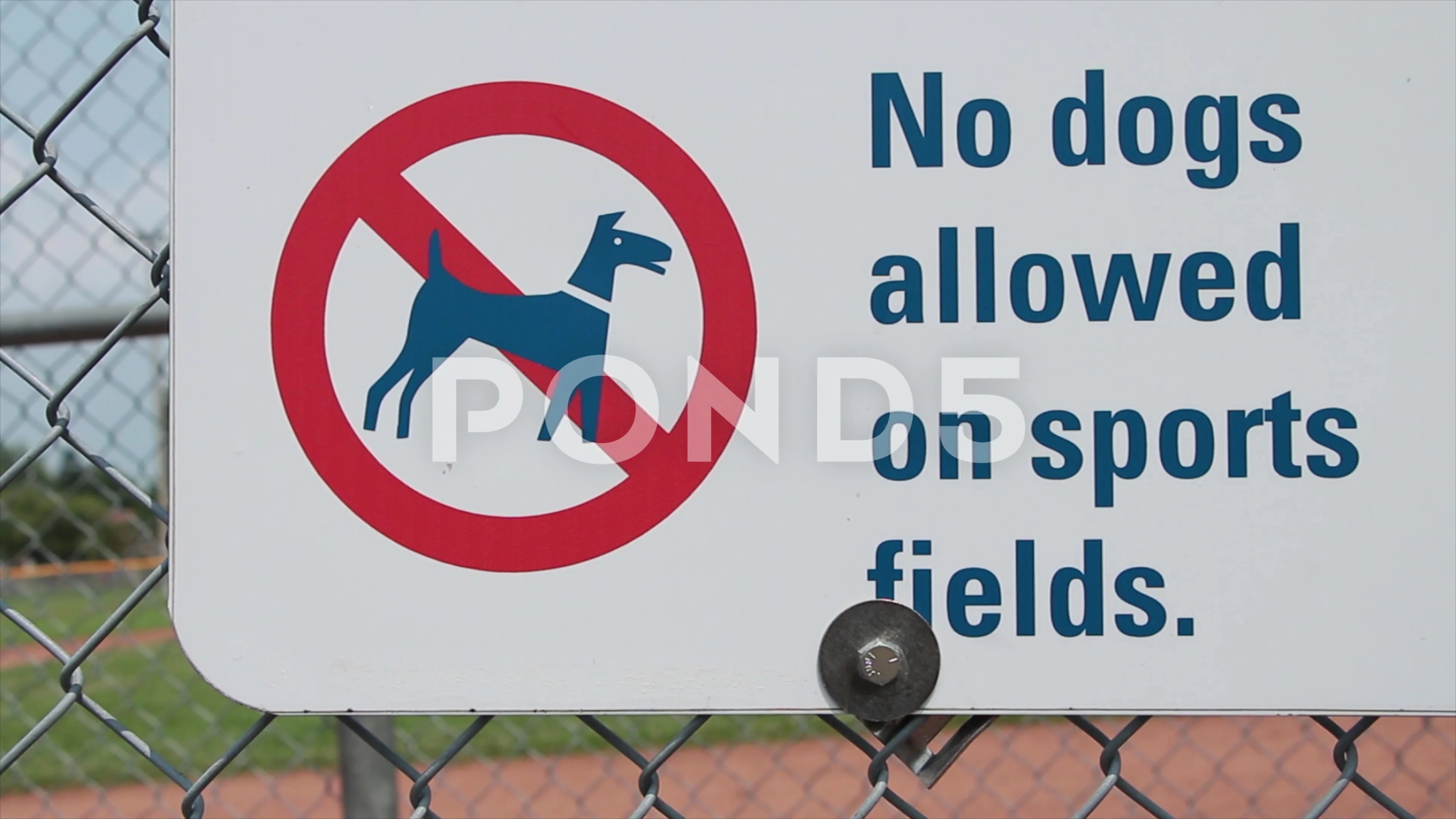 No Sports Allowed Sign