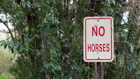 No horses sign, lush forest in the backg... | Stock Video | Pond5