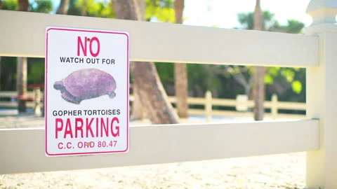 No parking sign for gopher tortoise turt... | Stock Video | Pond5