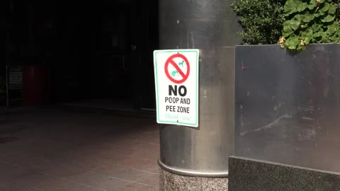 Public Defecation Stock Videos – Royalty-Free HD & 4K Videos