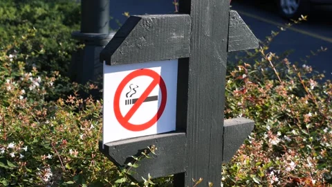 No smoke sign on a tree at public park. | Stock Video | Pond5