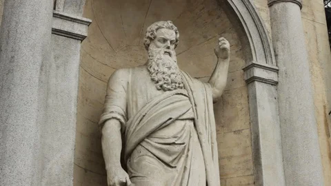 Noah T Stock Footage ~ Royalty Free Stock Videos | Pond5