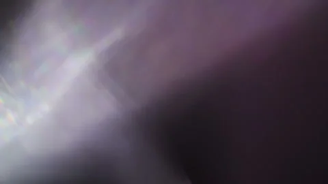 Nolan On L Stock Videos – Royalty-Free HD & 4K Videos