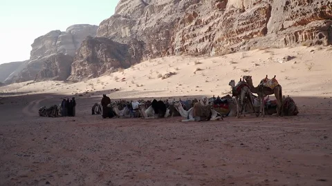 Arab Tribes Stock Videos – Royalty-Free HD & 4K Videos