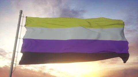 Non-binary pride flag waving in the wind... | Stock Video | Pond5