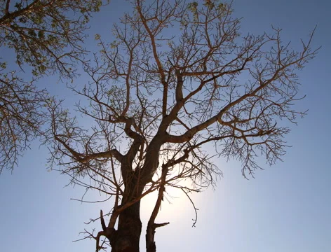 Noon Stock Footage ~ Royalty Free Stock Videos | Pond5