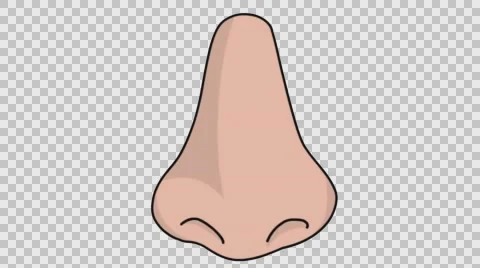 nose medical sketch illustration hand dr... | Stock Video | Pond5