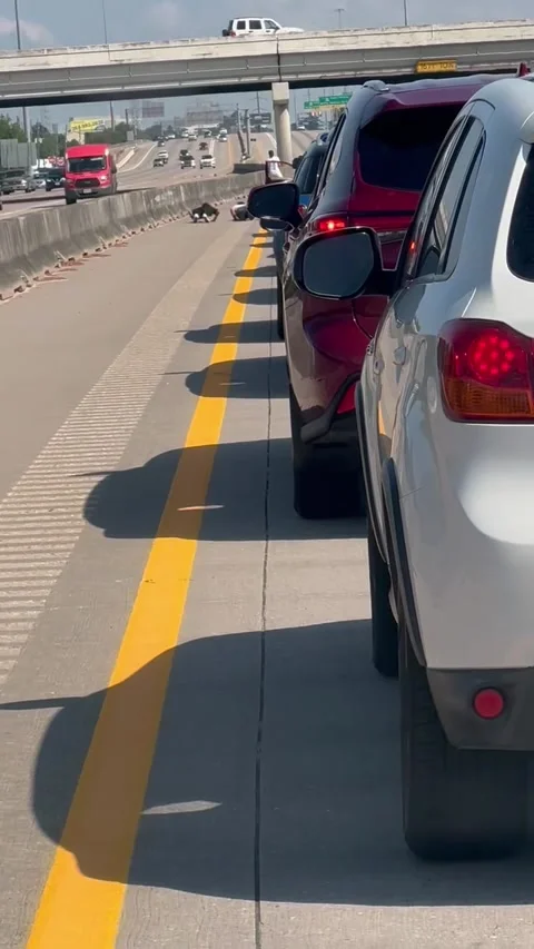 Almost Cops 2025 Stock Videos – Royalty-Free HD & 4K Videos