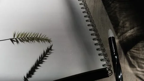 Notebooks, pen and hard shadow of glass ... | Stock Video | Pond5