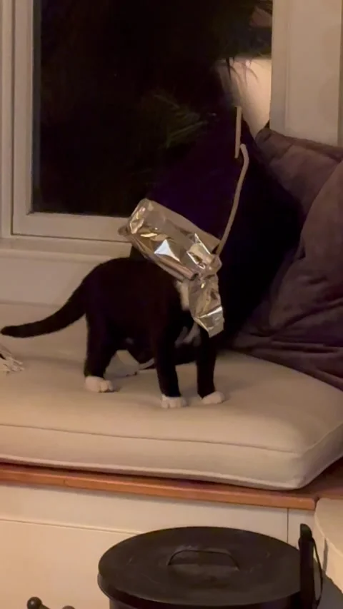 Nothing Helped Stock Videos – Royalty-Free HD & 4K Videos | Pond5