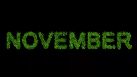 November text with green grass effect on... | Stock Video | Pond5
