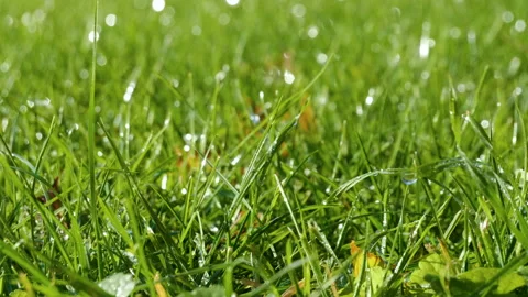 Rising Ground Stock Videos – Royalty-Free HD & 4K Videos | Pond5