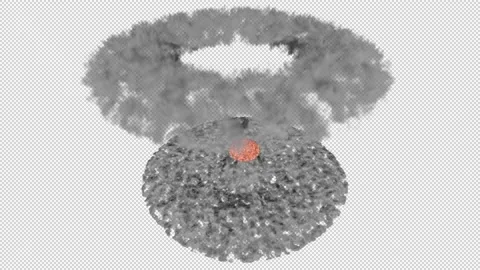 Nuclear Explosion Alpha Stock Videos – Royalty-Free HD & 4K Videos