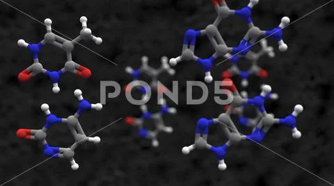 Nucleic Acids Drawing Nucleic Acids Function, Examples, And Monomers