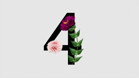 Number 4 with flowers, number, alpha cha... | Stock Video | Pond5