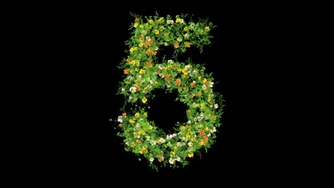 Number 5 with grass and colorful flowers... | Stock Video | Pond5
