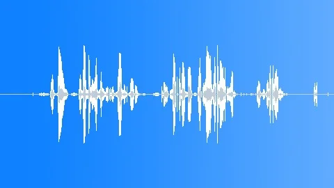 Number Is not in Service ~ Sound Effect #12737500