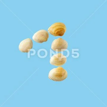 Number one from sea shells isolated on tender light blue background ...