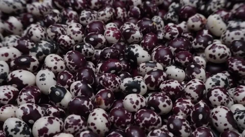 Nuna Peruvian Popping Beans | Stock Video | Pond5