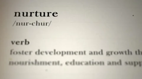 Nurture; Stock Video Footage | Royalty Free Nurture; Videos | Pond5