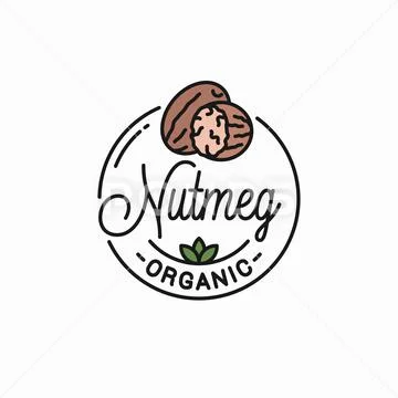 Nutmeg nut logo. Round linear of nutmeg on white Illustration #130207384