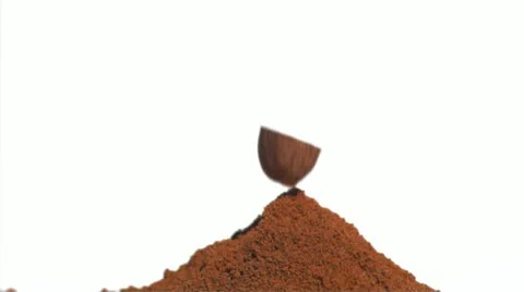 Nuts From Nutmeg Stock Footage ~ Royalty Free Stock Videos | Pond5