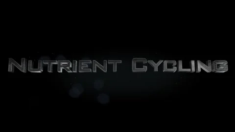 Nutrient Cycling Stock Videos – Royalty-Free HD & 4K Videos