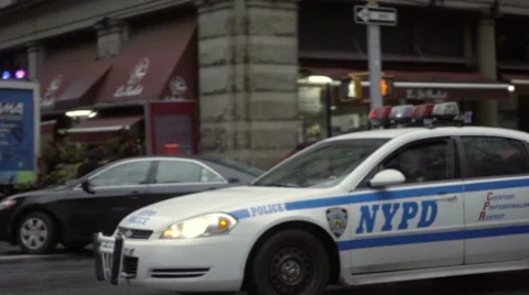 Flashing The P Stock Videos – Royalty-Free HD & 4K Videos | Page 2