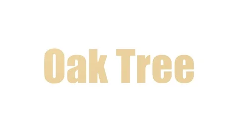 Oak Tree Animated Stock Video Footage | Royalty Free Oak Tree Animated ...