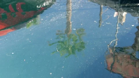 oasis in the desert with the reflection ... | Stock Video | Pond5