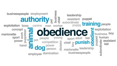 Obedience animated word cloud, text desi... | Stock Video | Pond5