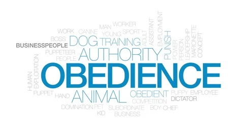 Obedience animated word cloud, text desi... | Stock Video | Pond5