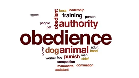 Obedience animated word cloud, text desi... | Stock Video | Pond5