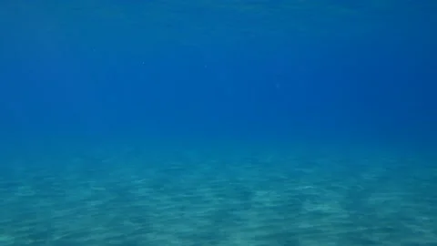 The oblique rays of the sun form a sunny... | Stock Video | Pond5