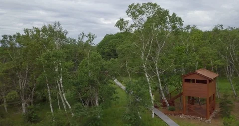 Observation deck for observation of wild... | Stock Video | Pond5