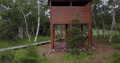 Observation deck for observation of wild... | Stock Video | Pond5