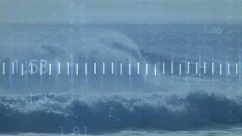 Wave Lonk Stock Videos – Royalty-Free HD & 4K Videos