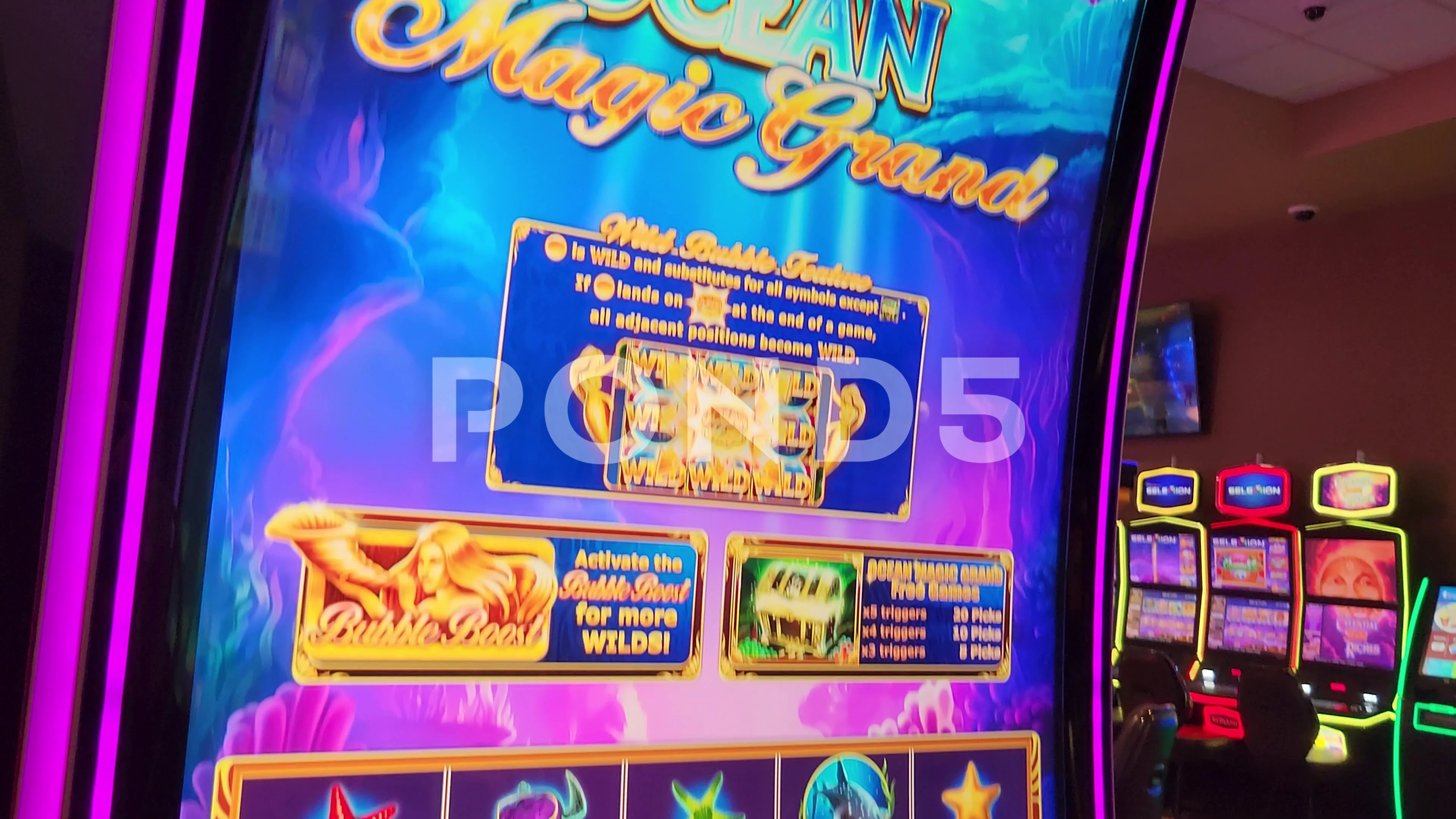 Confira um guia sobre o que fazer em Jericoacoara!