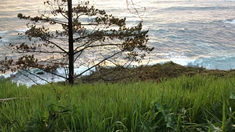 Ocean Meets Grass Stock Videos – Royalty-Free HD & 4K Videos