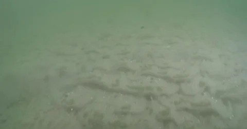 Ocean scenery, murky water, ripped sand ... | Stock Video | Pond5