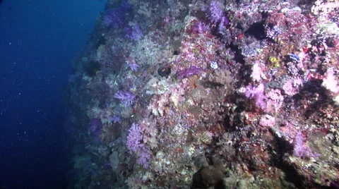 Ocean scenery on protected deep wall, at... | Stock Video | Pond5