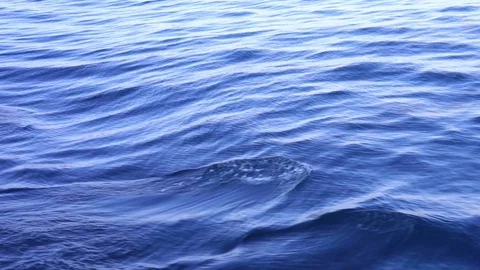 Water Wave Ripple Stock Video Footage | Royalty Free Water Wave Ripple ...