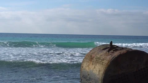 Ocean Sea Wreckage falling from ships co... | Stock Video | Pond5