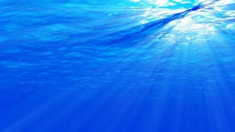 Underwater Scene Seamless Loop Camera Dolly Stock