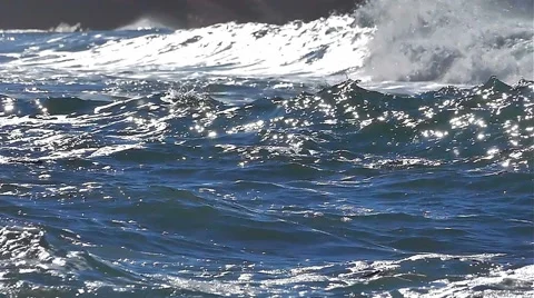 Limpid Stock Footage ~ Royalty Free Stock Videos | Pond5