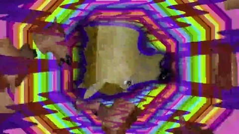 Octagonal Horse Head Tunnel With Purple ... | Stock Video | Pond5