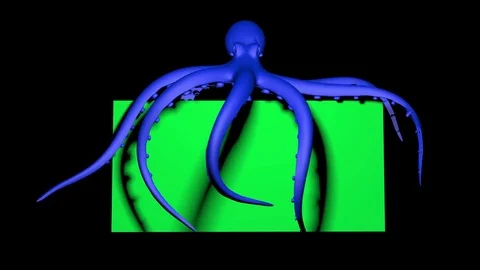 Octopus Blue - 4K Green Screen Video Foo... | Stock Video | Pond5