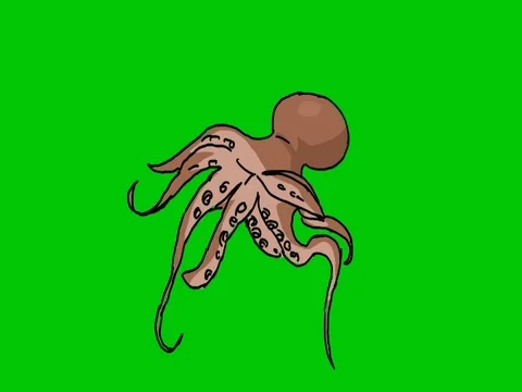 Octopus Green Screen Stock Footage ~ Royalty Free Stock Videos | Pond5