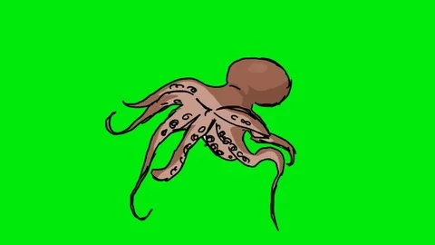 Octopus Green Screen Stock Footage ~ Royalty Free Stock Videos | Pond5