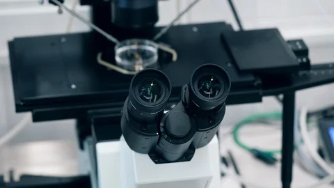 Ocular lenses of a microscope during res... | Stock Video | Pond5